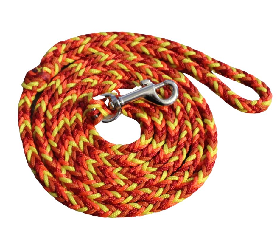 Fireball Paracord Dog Leash/Lead by The Dog Ladies – The Leash Ladies